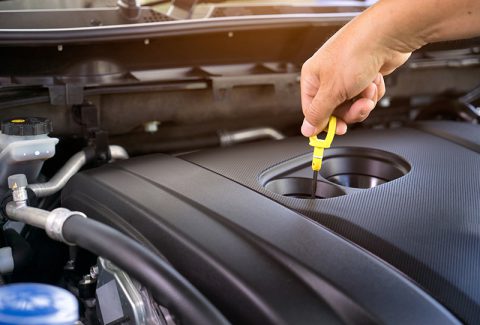 Why should you do regular car check-ups? To ensure safety.